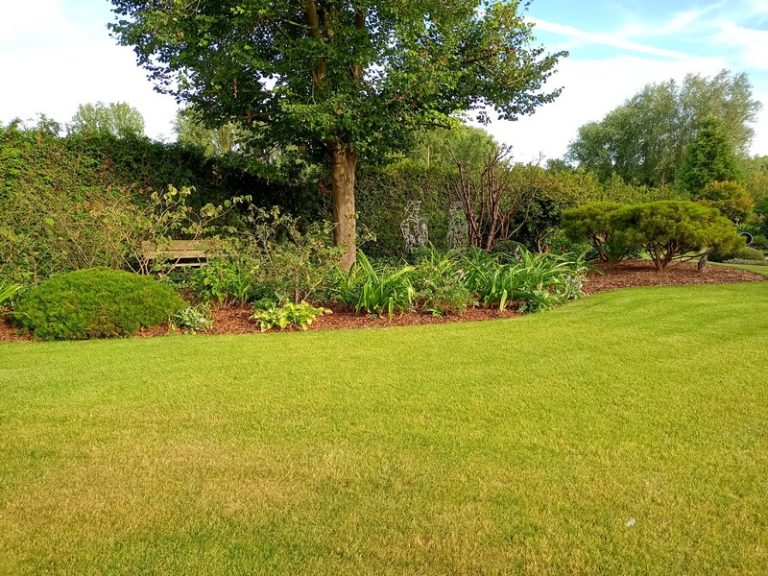 Les différents types de gazons - Le Jardin Passion Aquatique Passion