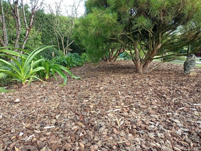 Les différents types de paillages - Le Jardin Passion Aquatique Passion